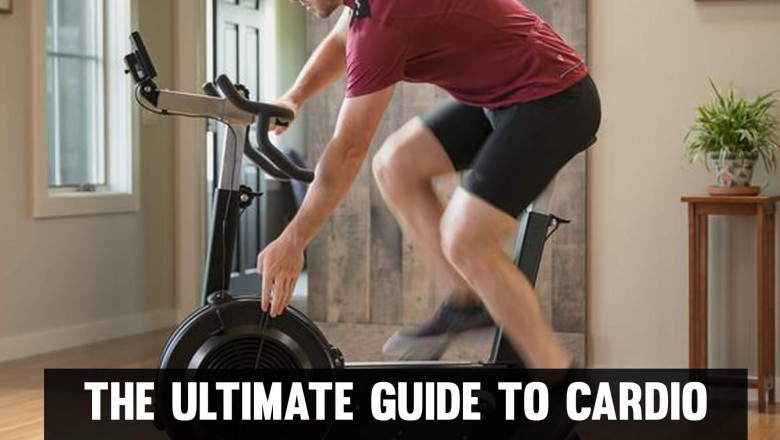 The Ultimate Guide to Cardio Exercise Equipment | Gadget