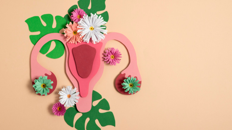 A Step-By-Step Guide to Ovulation Induction | Gadget
